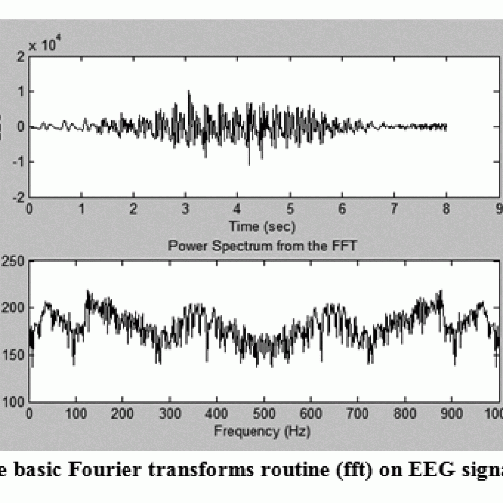 From Biomedical Signal Processing Techniques to fMRI Parcellation ...