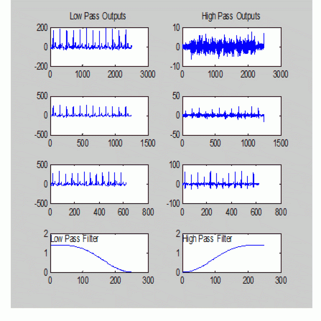 From Biomedical Signal Processing Techniques to fMRI Parcellation ...