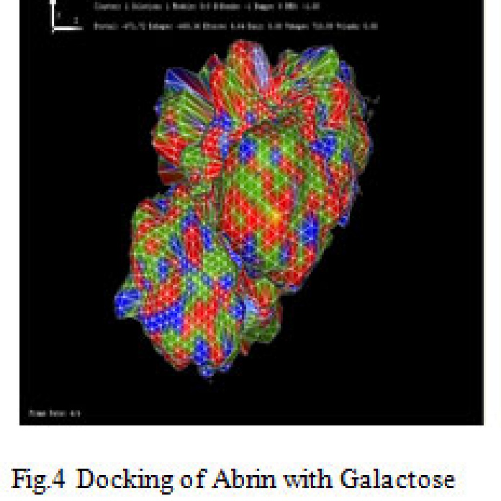 Insilico and Invitro Studies of Abrin-A Ribosome Inactivating Protein ...
