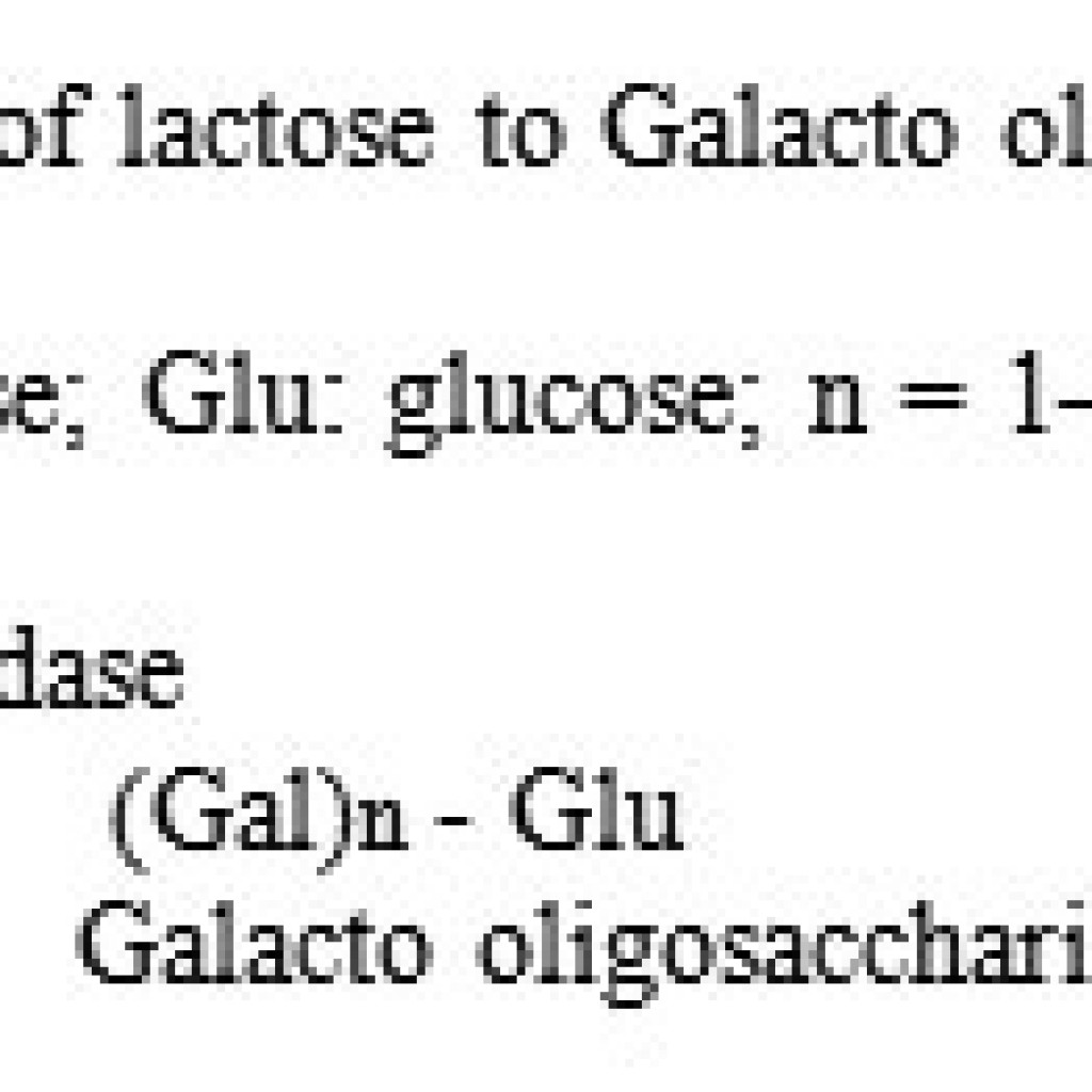 Production of Galacto-Oligosaccharides by Marine Derived Fungus ...