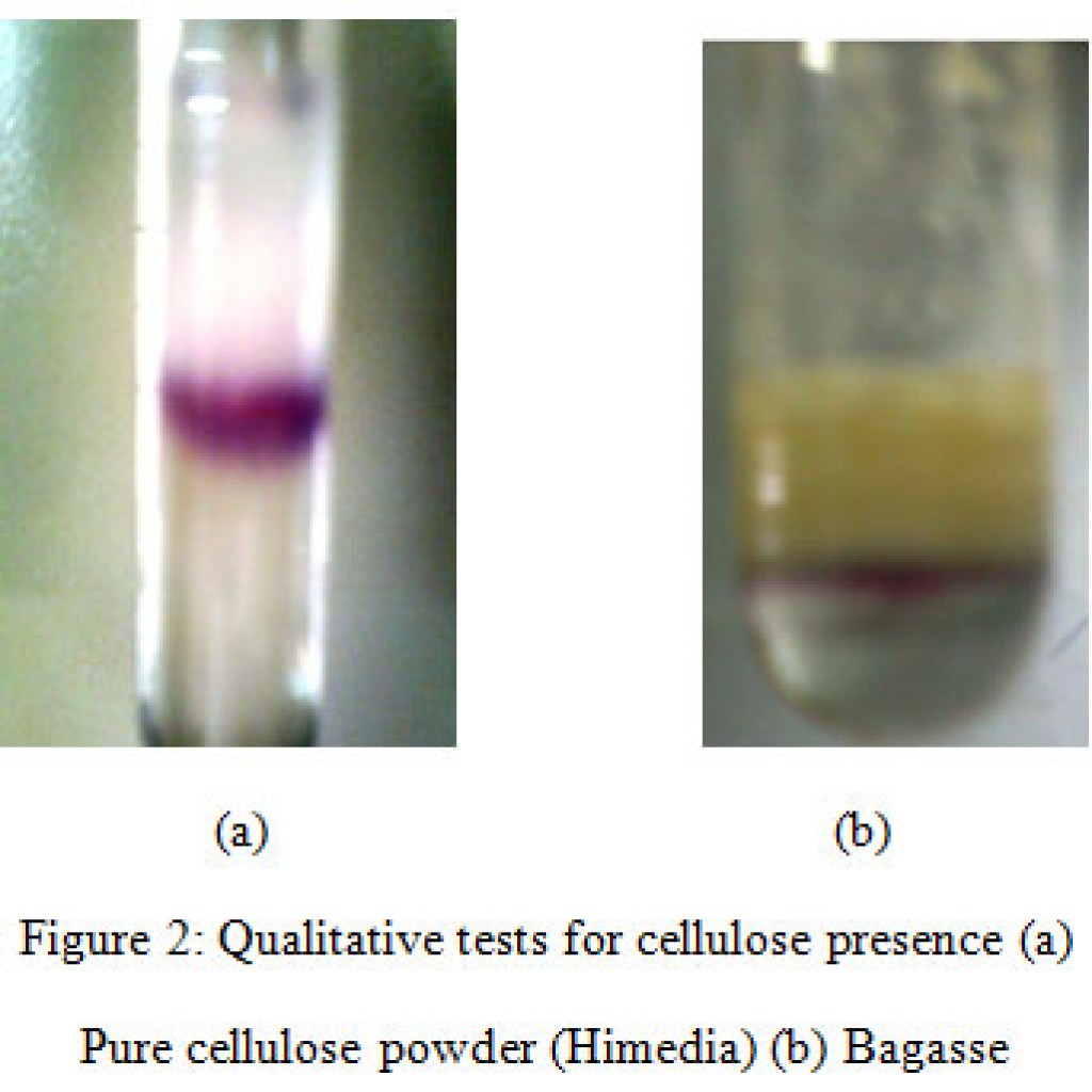 Does Chip Size of the Lignocellulosic Bagasse Influence Lignin ...