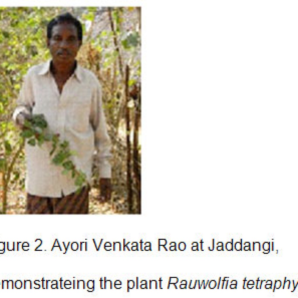 Ethnomedicinal plants used by Konda Reddy, Koya Dora, Konda Kammara ...