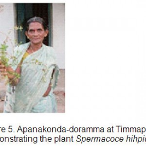 Ethnomedicinal plants used by Konda Reddy, Koya Dora, Konda Kammara ...