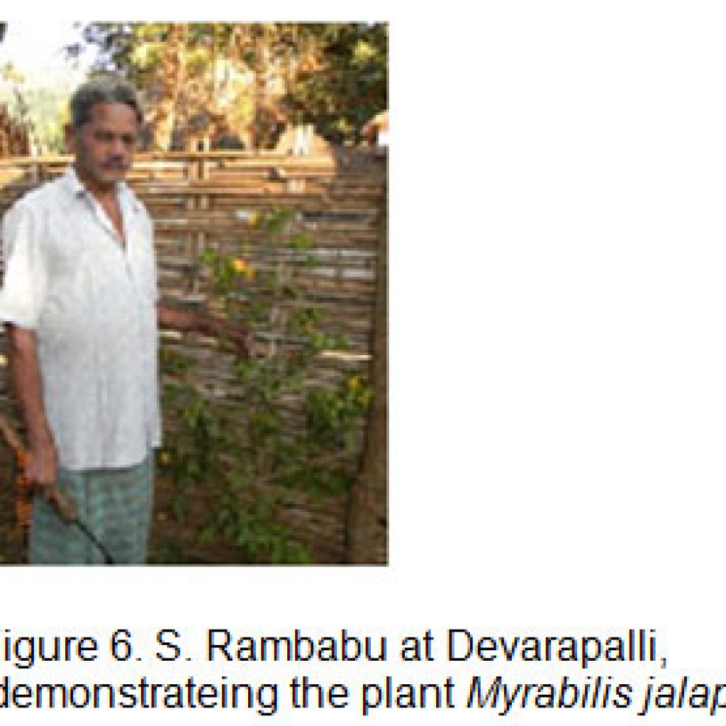 Ethnomedicinal plants used by Konda Reddy, Koya Dora, Konda Kammara ...