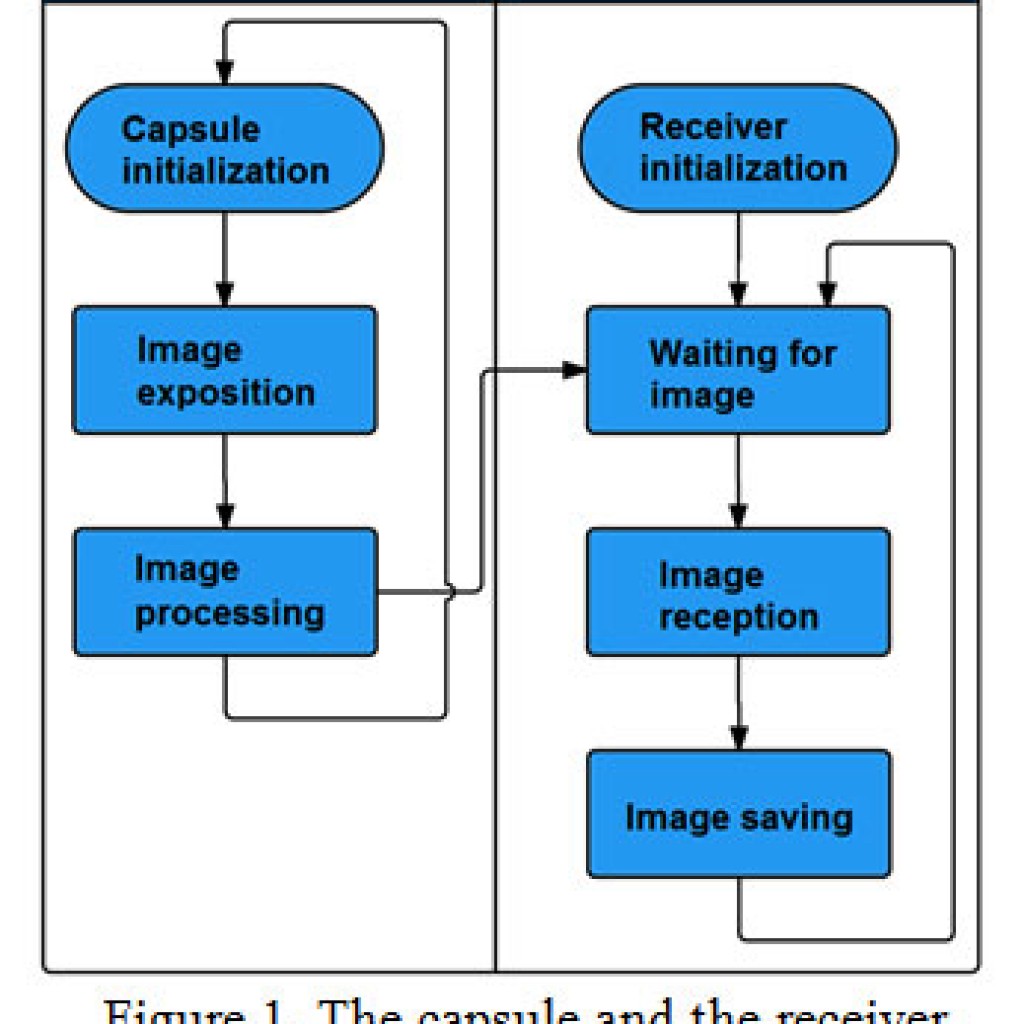 Data Transfer Implementation in the Wireless Capsule Endoscopy ...