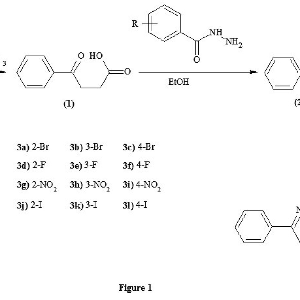 Molecular Modelling Studies and Angiotensin Converting Enzyme ...