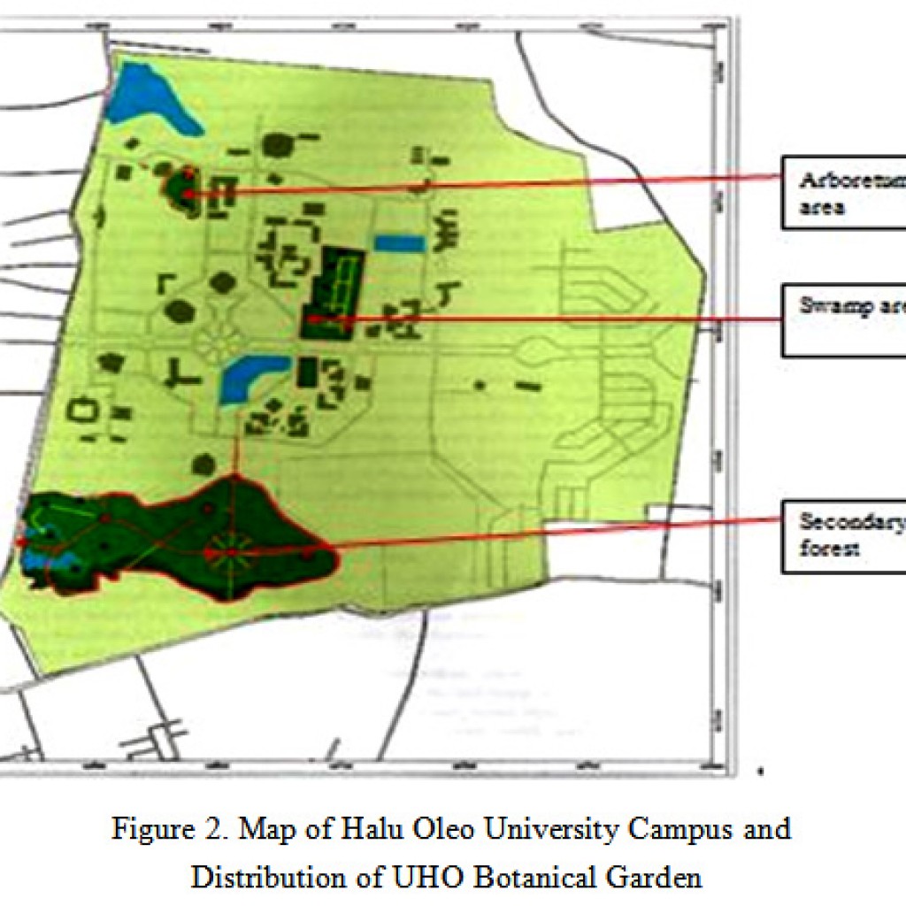 Diversity of Flora and Fauna in Halu Oleo University Botanical Garden ...