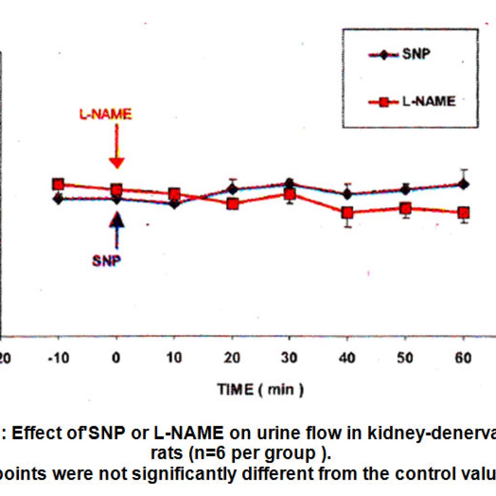 Influence of Renal Sympathetic Denervation on Nitric Oxide-Induced ...