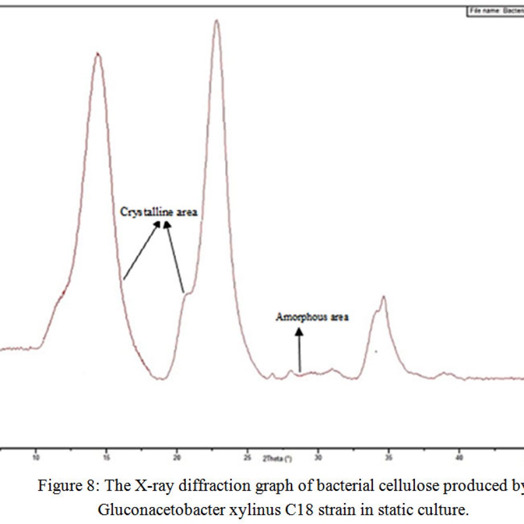 Isolation and Characterization of cellulose Producing Bacterial isolate ...