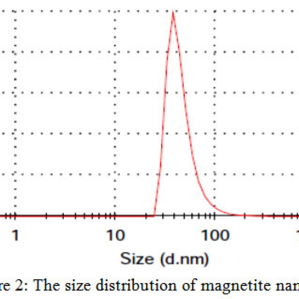 Synthesis of Magnetite Nanoparticles by Biological Technique ...