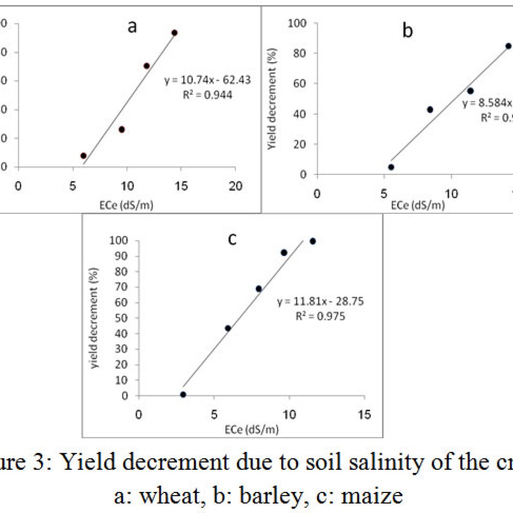 Salt Tolerance Analysis of Crops Using the SWAP Model – Biosciences ...