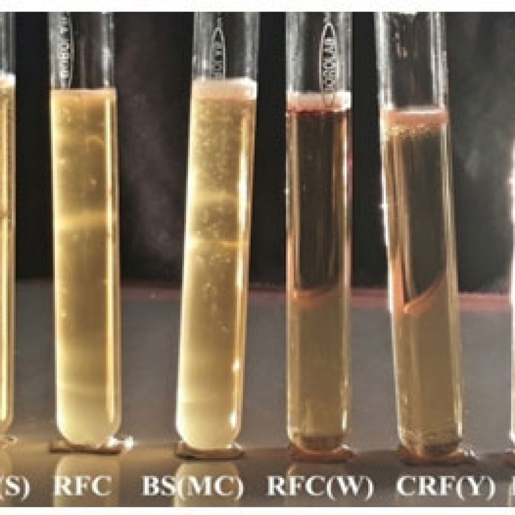 Screening For Isolation of Succinic Acid Producing Microbes ...