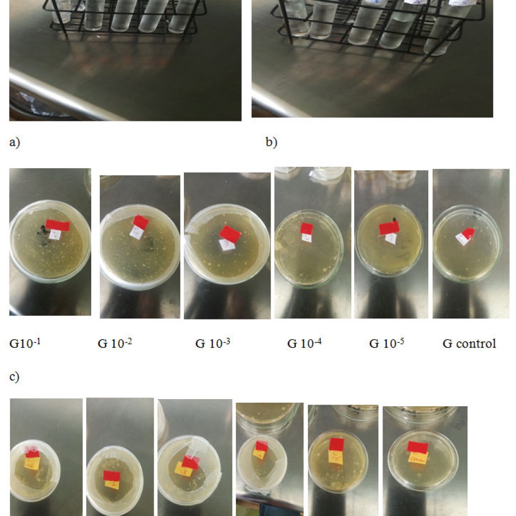 Extraction of Protease Under Solid State Fermentation Using Bacterial ...