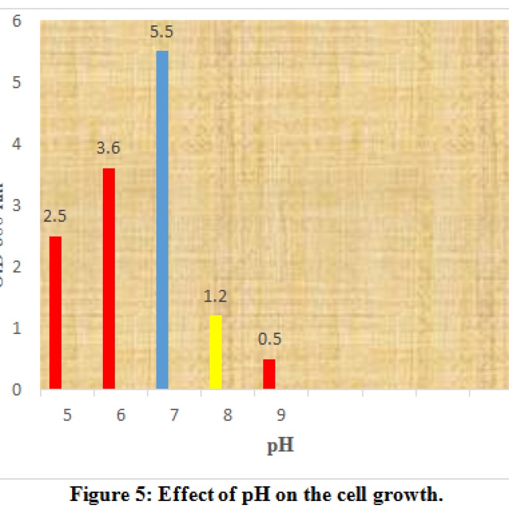 Optimization of Conditions for the Production of Recombinant Cellulase ...