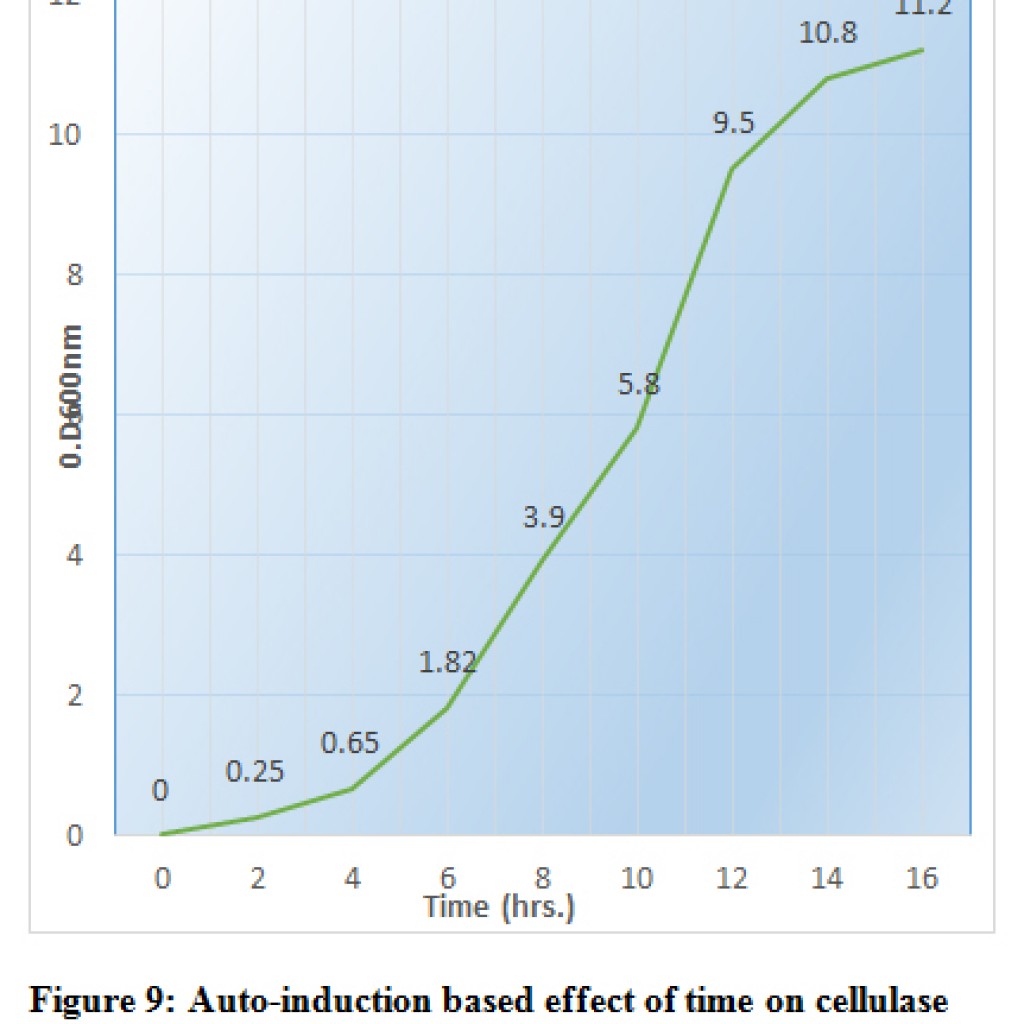 Optimization of Conditions for the Production of Recombinant Cellulase ...