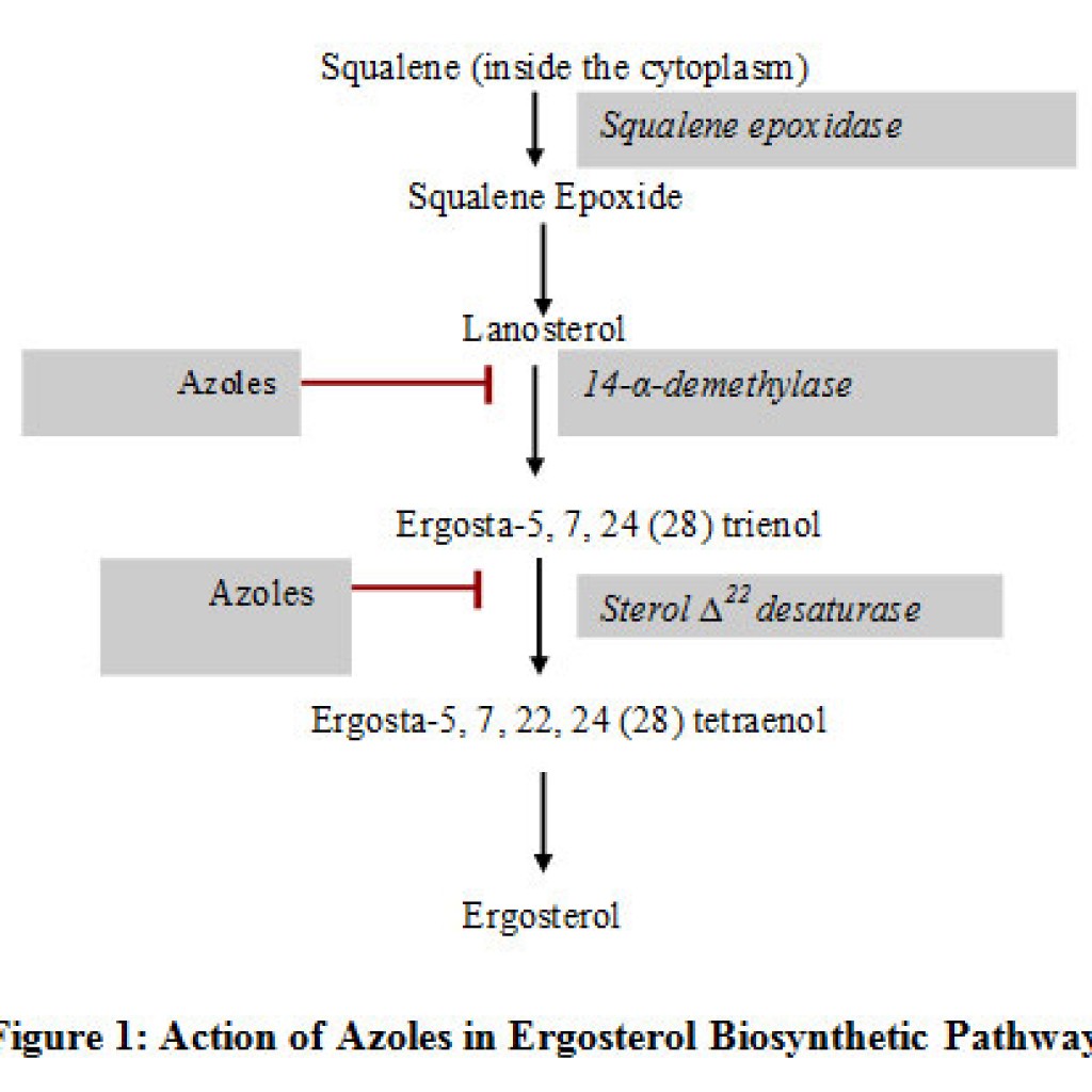 Azoles Used in Agriculture as Possible Cause of Azole-Resistance in ...