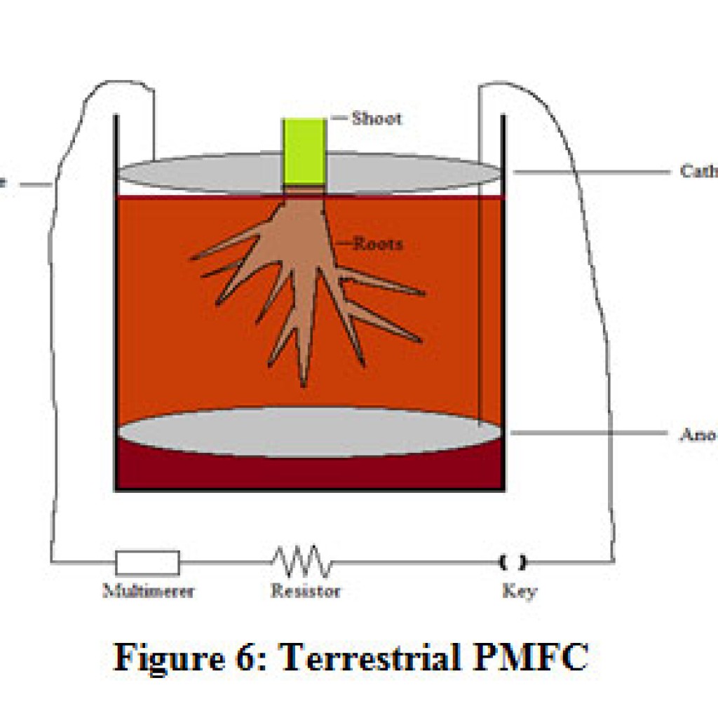 Bioelectrochemical System: An Eco-Friendly Approach to Generate ...