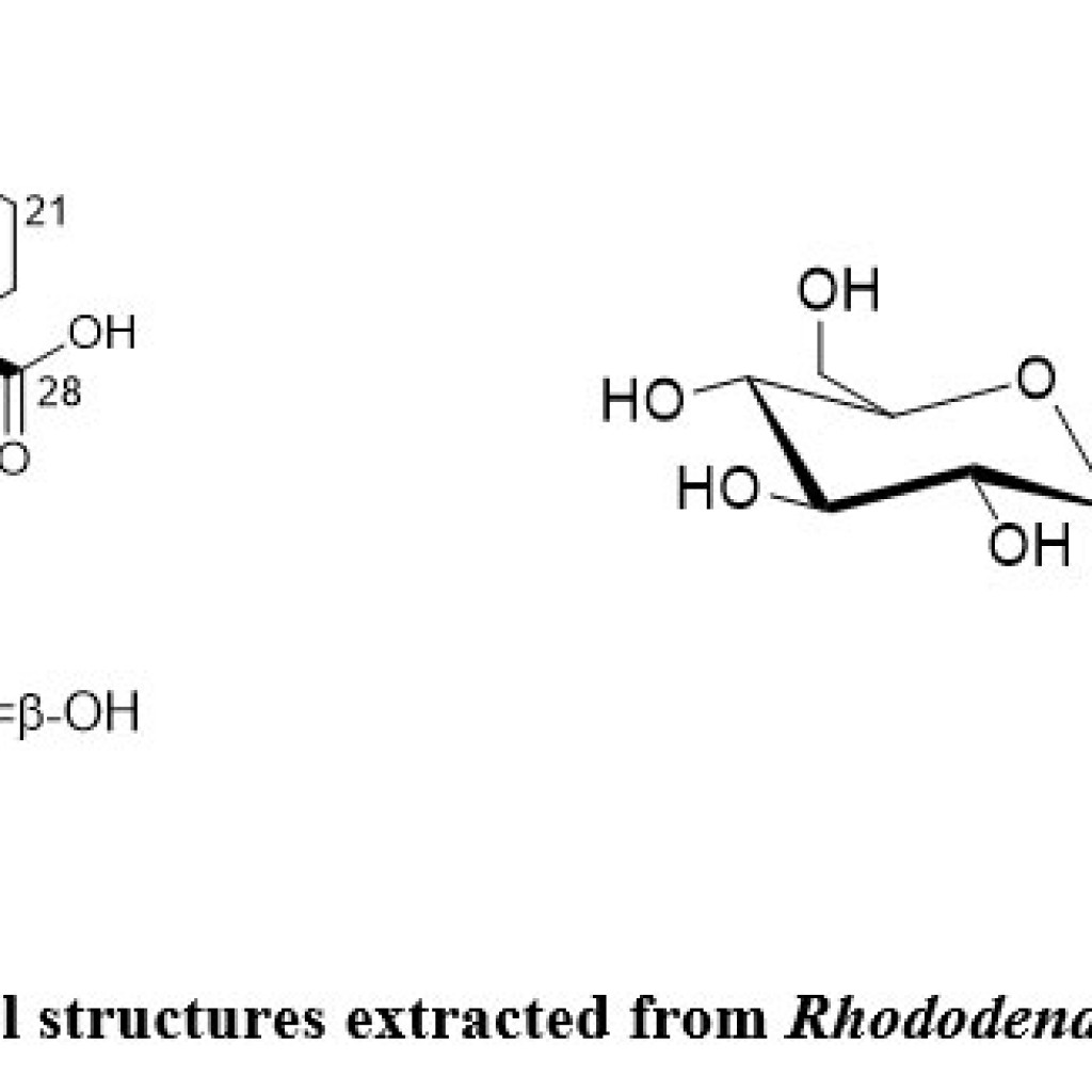 Research Progress on the Identification and Pharmacological Activity of ...