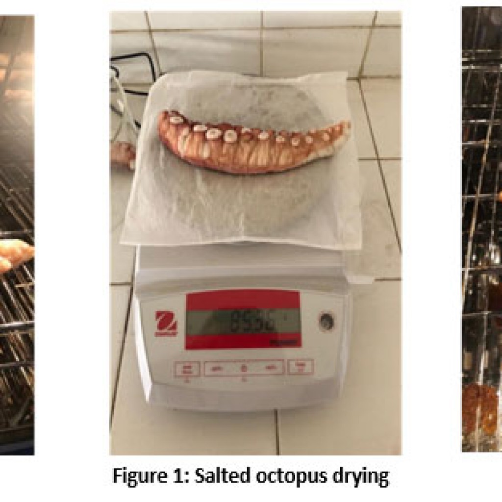 Study of Salted Octopus Drying Kinetics and Hygroscopy from Artisanal ...
