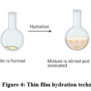 Polymeric Micelles: A Novel Approach towards Nano-Drug Delivery System ...