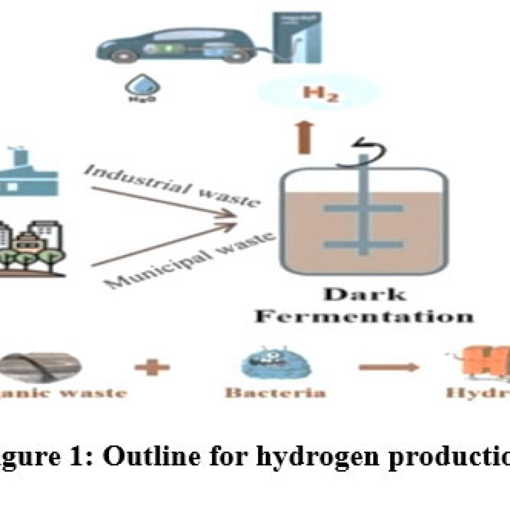 Potential of Bio Hydrogen Production from Dark Fermentation of Sewage ...