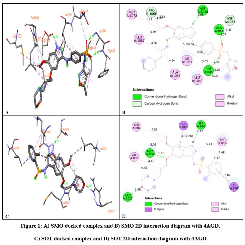 Computational Investigation of Indazole Scaffolds as Tyrosine Kinase ...