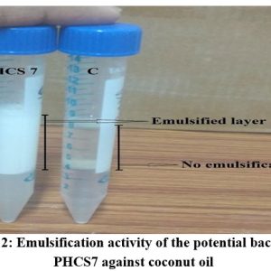 Delving of a Promising Bioemulsifier Producing Bacterium from an Oil ...