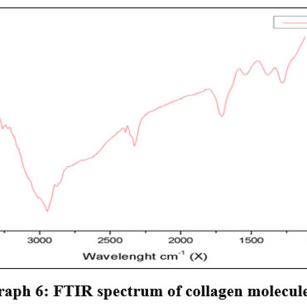 Preparation of Collagen Particles from Fish Waste Infused with Cassia ...