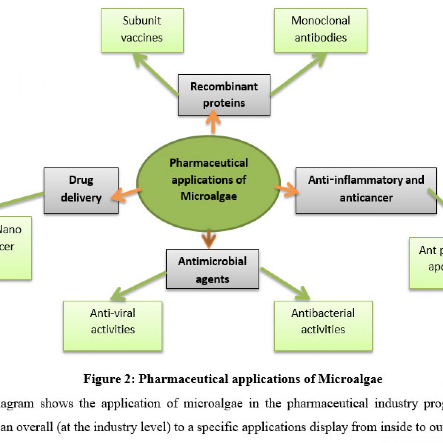 Review on Microalgae Potential Innovative Biotechnological Applications ...