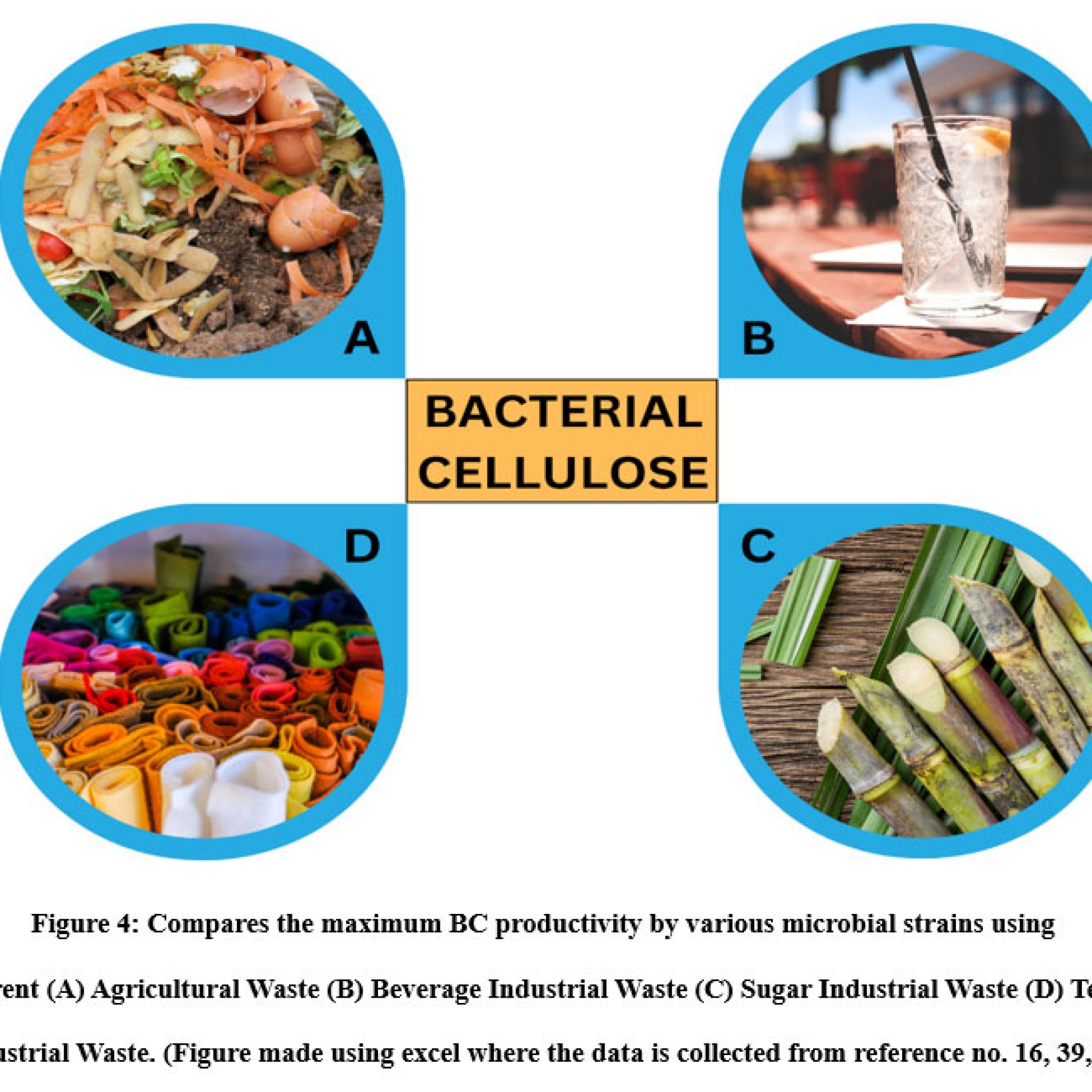 Bacterial Cellulose: An Ecological Alternative as a Biotextile ...