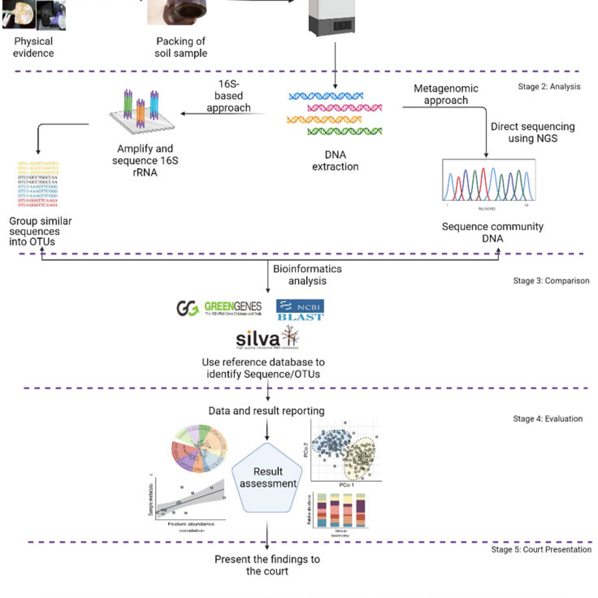 Molecular approaches in soil microbial analysis: Forensic Perspective ...