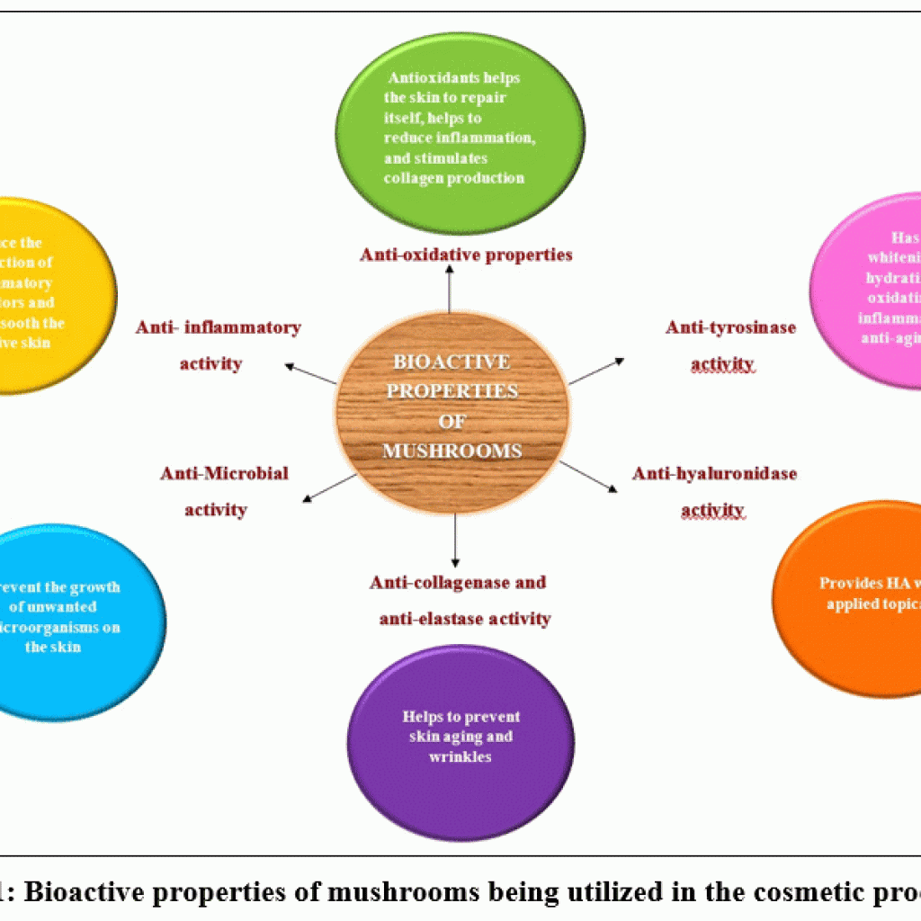 Mushroom based Cosmeceuticals: An Upcoming Biotechnology Sector ...