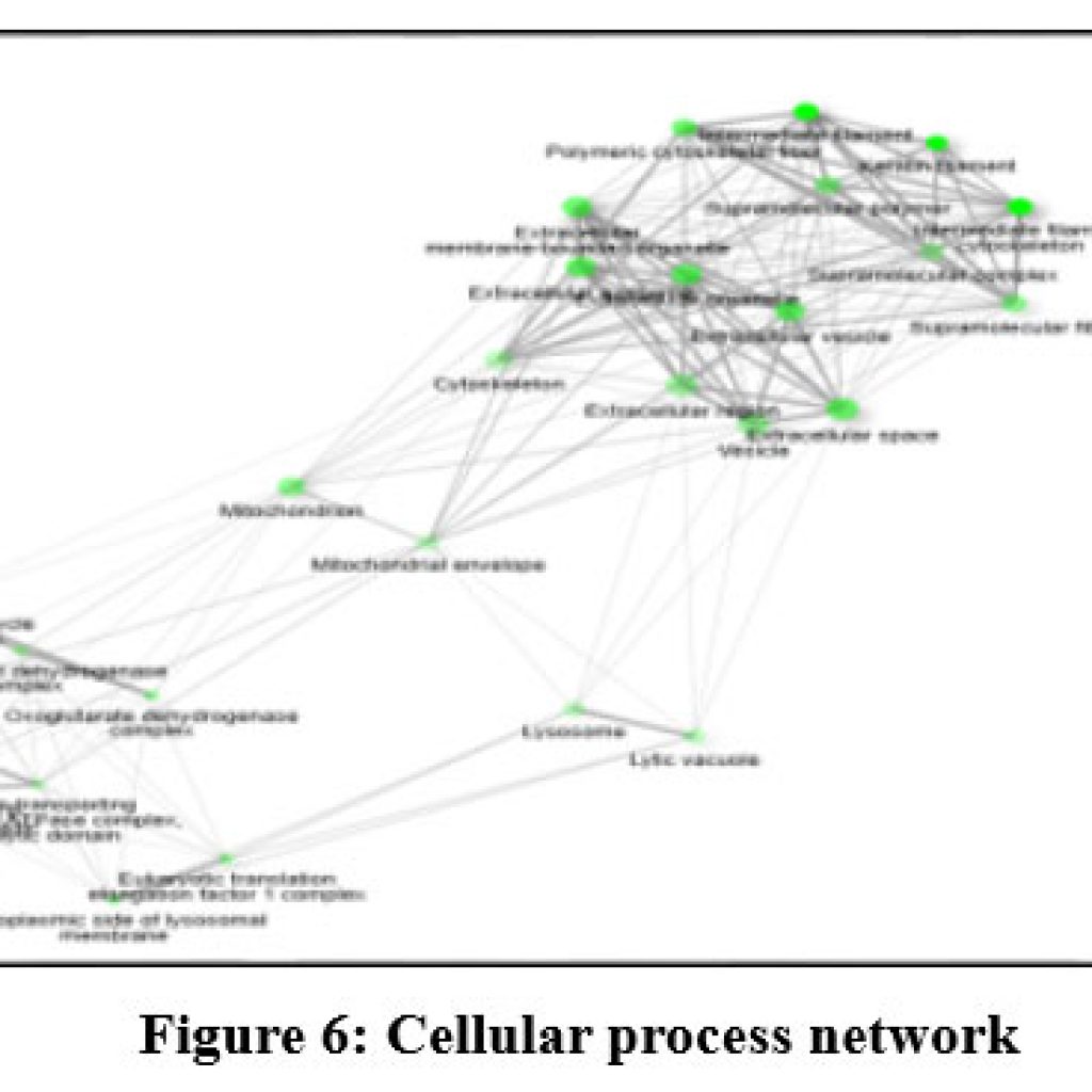 Serum Protein Profiles of Rheumatoid Arthritis Samples –A Case Study ...