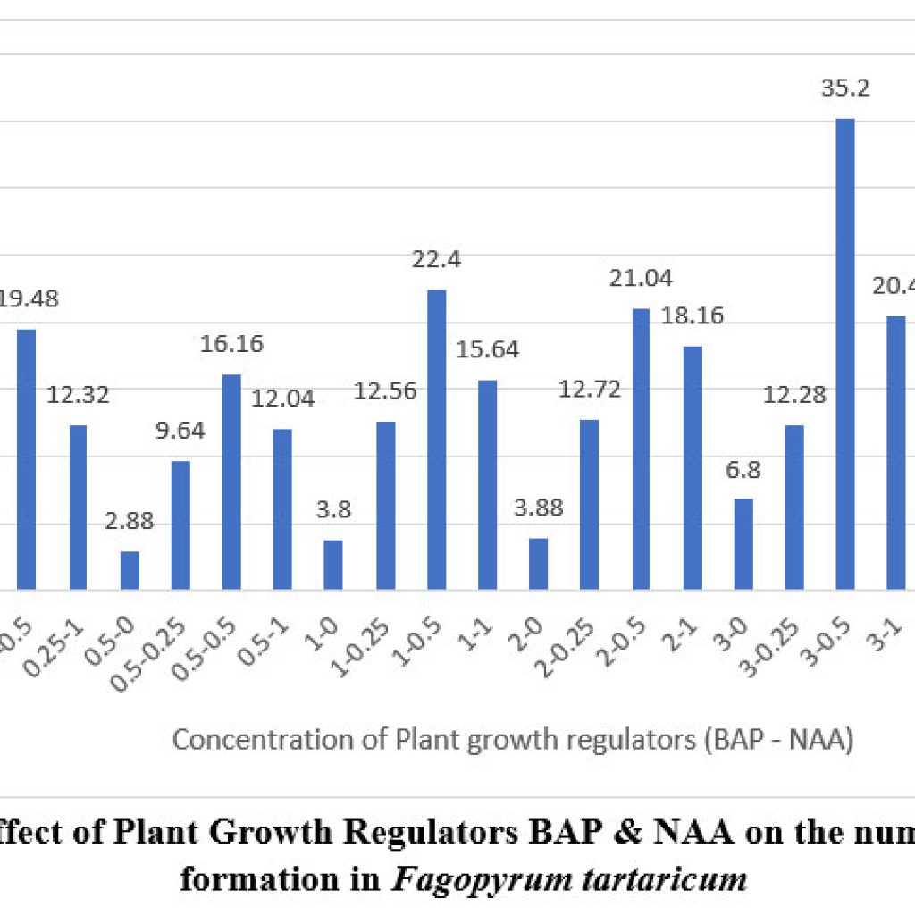 Indirect Organogenesis and High Frequency Plant Regeneration in ...