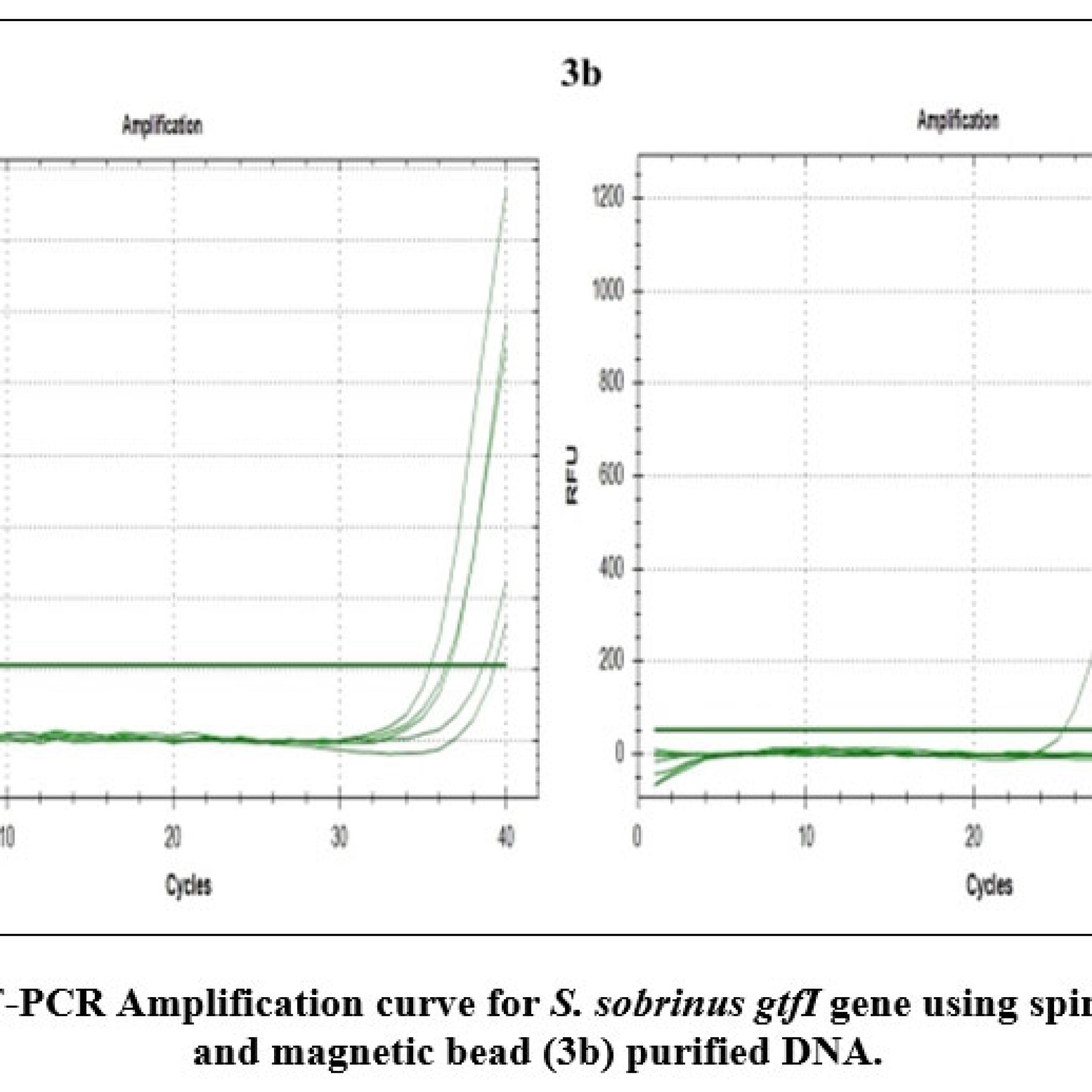 Detection of Streptococcus mutans and Streptococcus sobrinus in Human ...