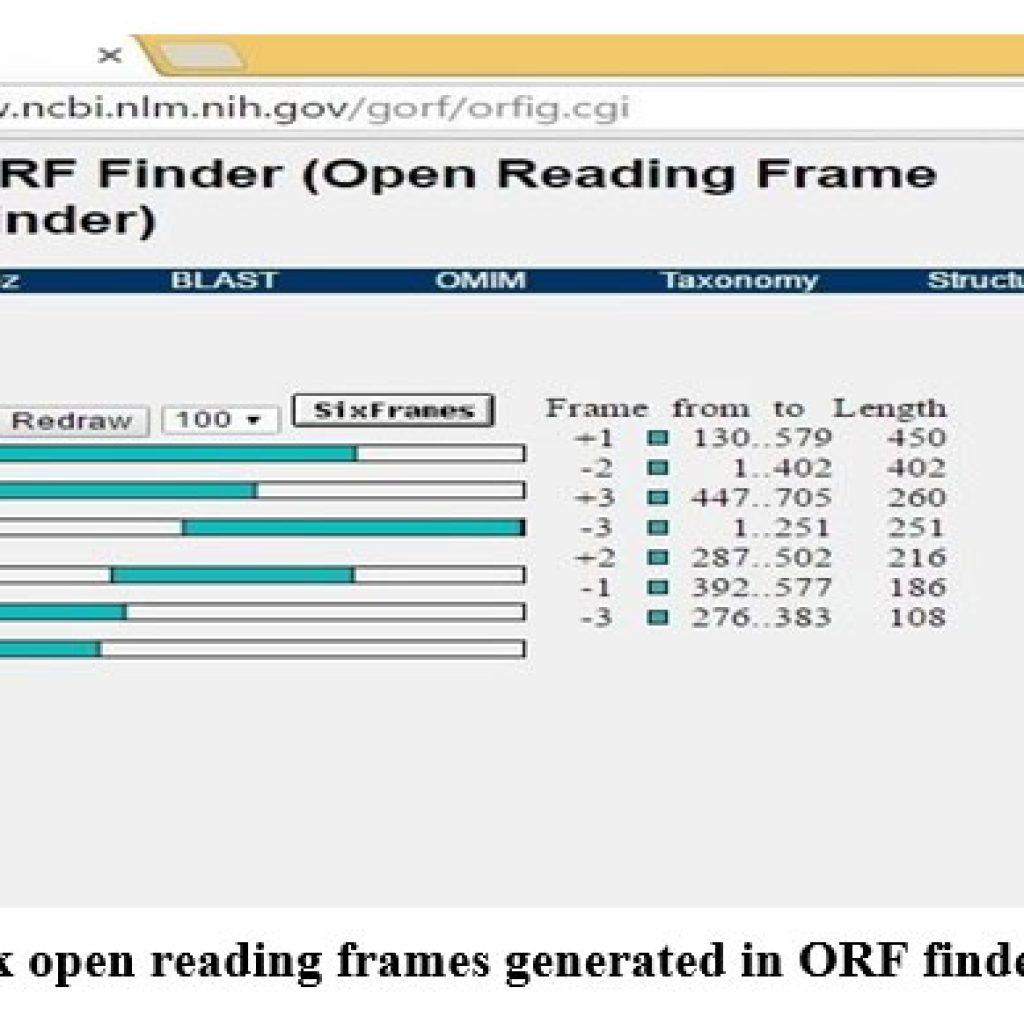 In Silico dszC Gene Analysis, Modeling and Validation of ...