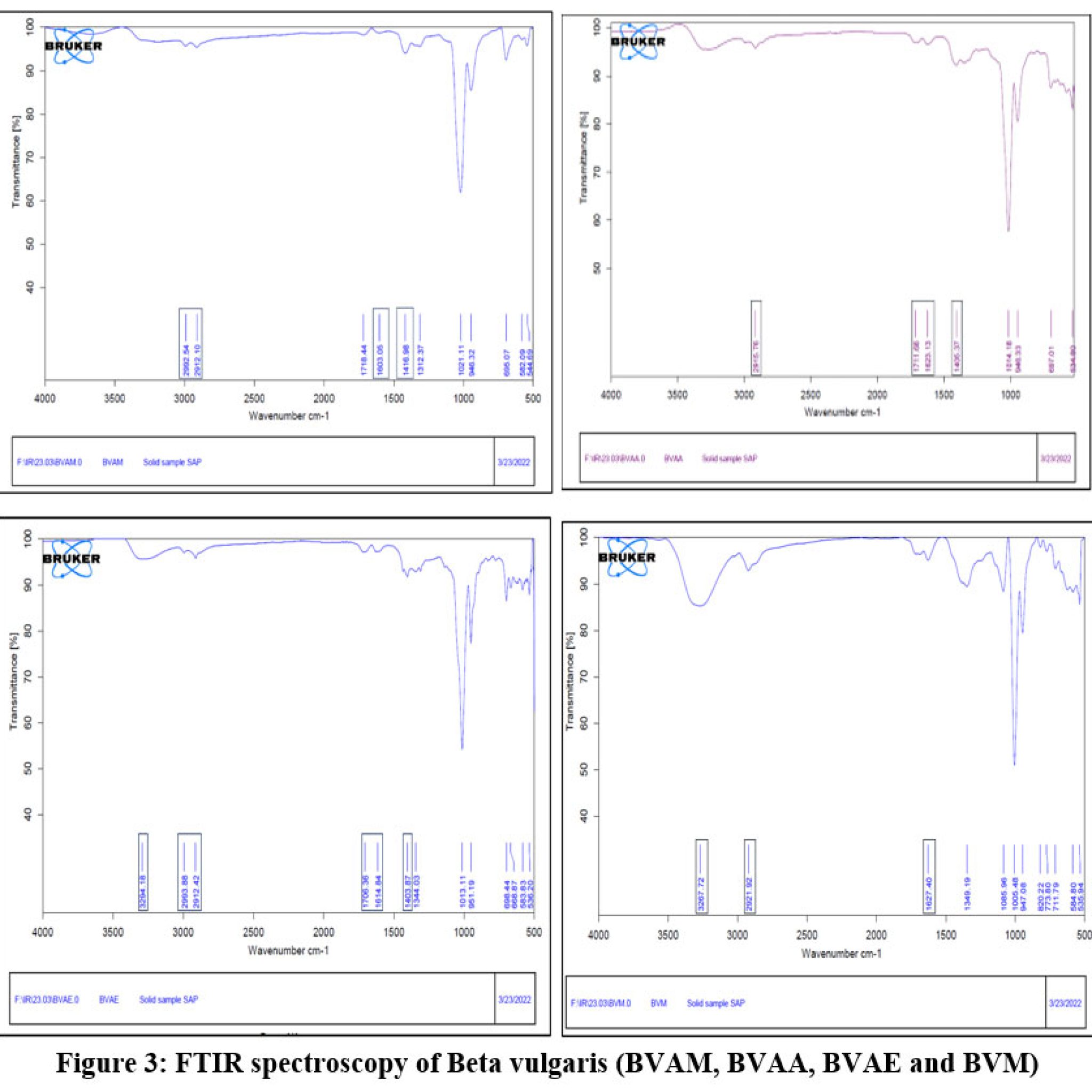 Antioxidant and Antibacterial Properties of bio-pigment from Beta ...