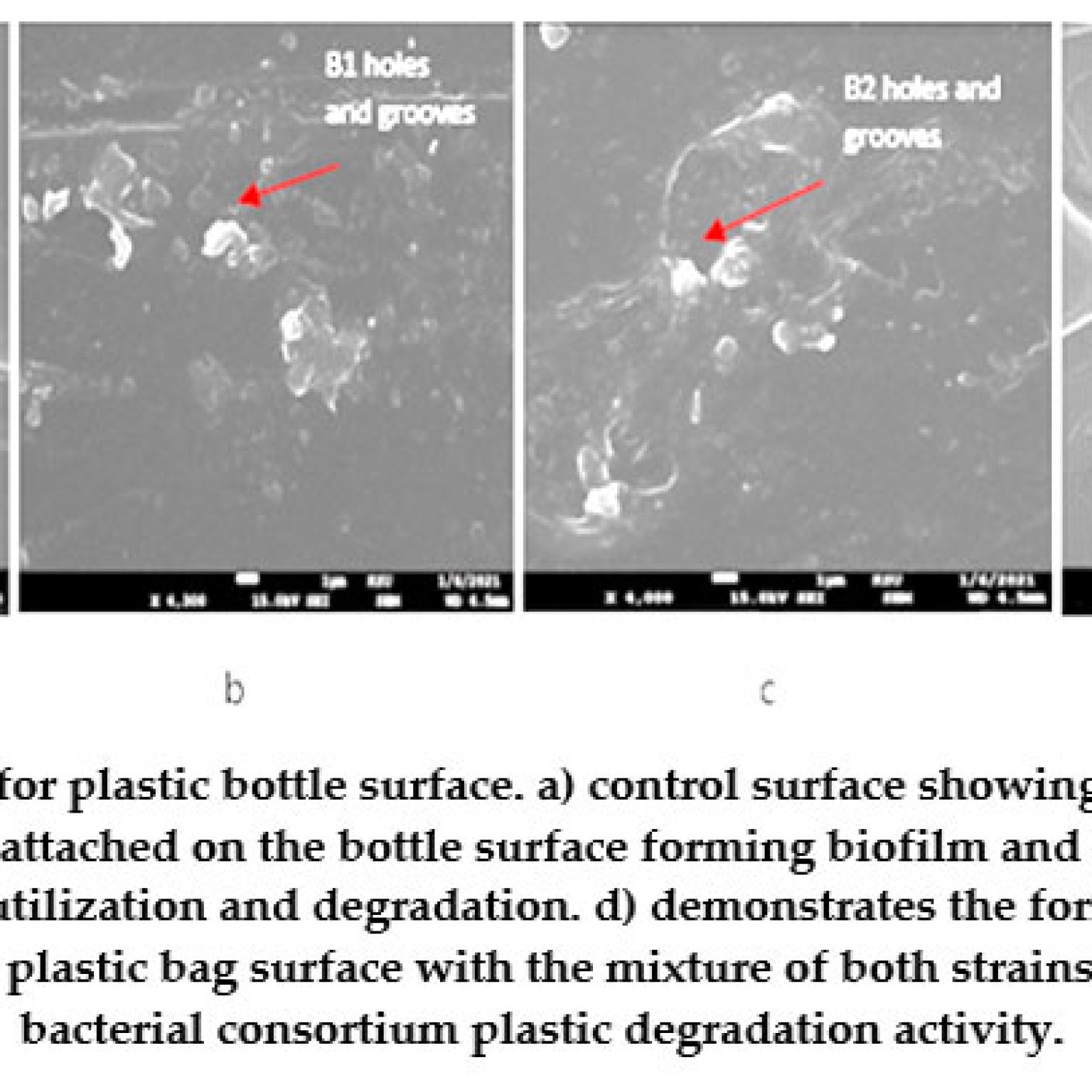 Enhancing the Biodegradability of LDPE Plastic Waste through ...