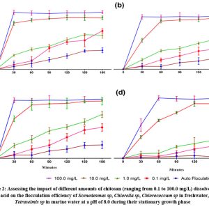 A Bioflocculant Made from Chitosan and Modified Shrimp Waste Might ...