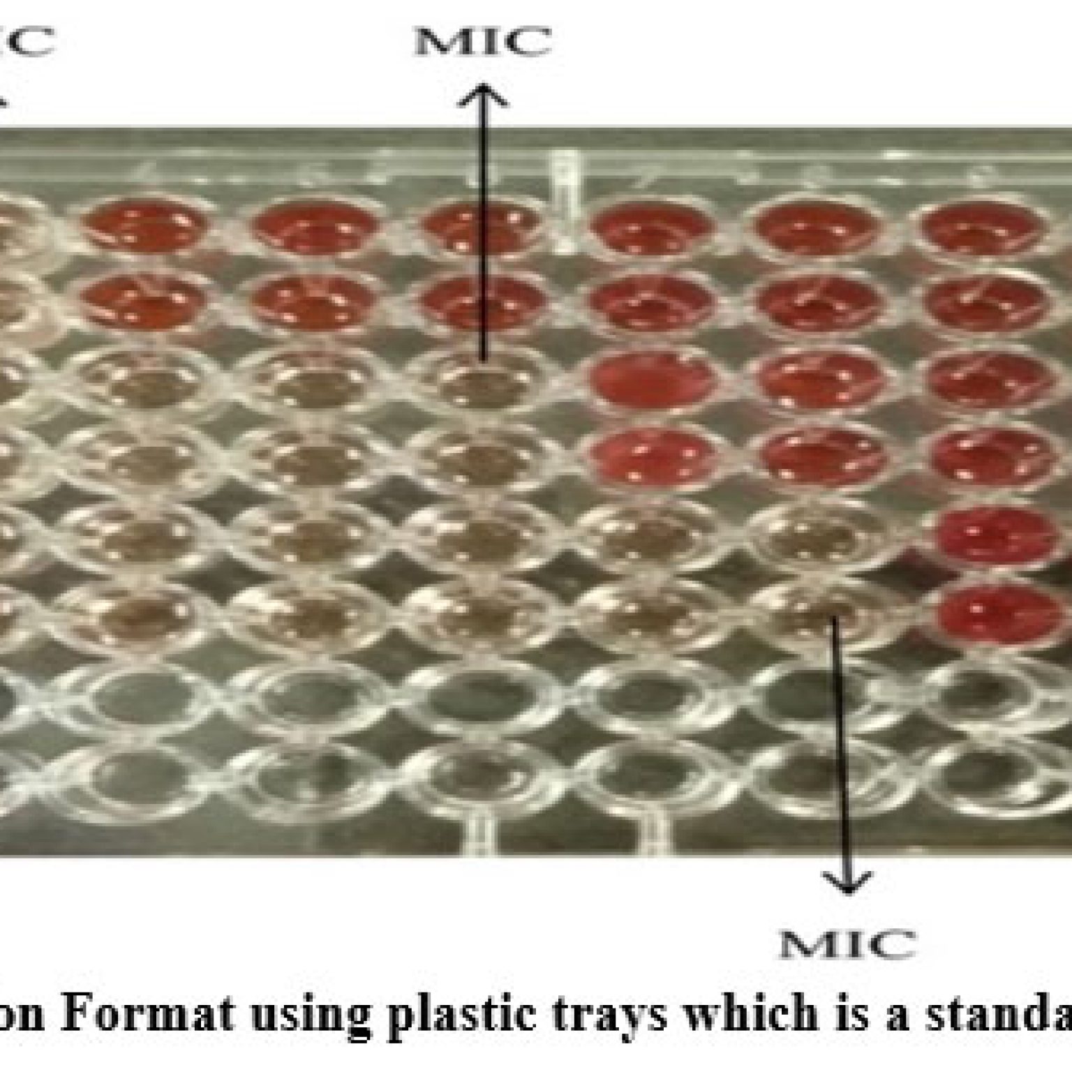 Green Synthesis of Silver Nanoparticles using Various Plant Extracts ...