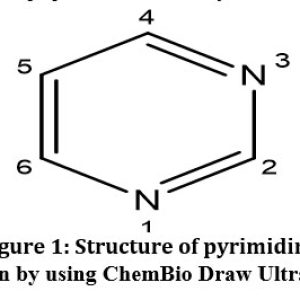 Insilico Drug Design, Synthesis and Evaluation of Anti-inflammatory ...