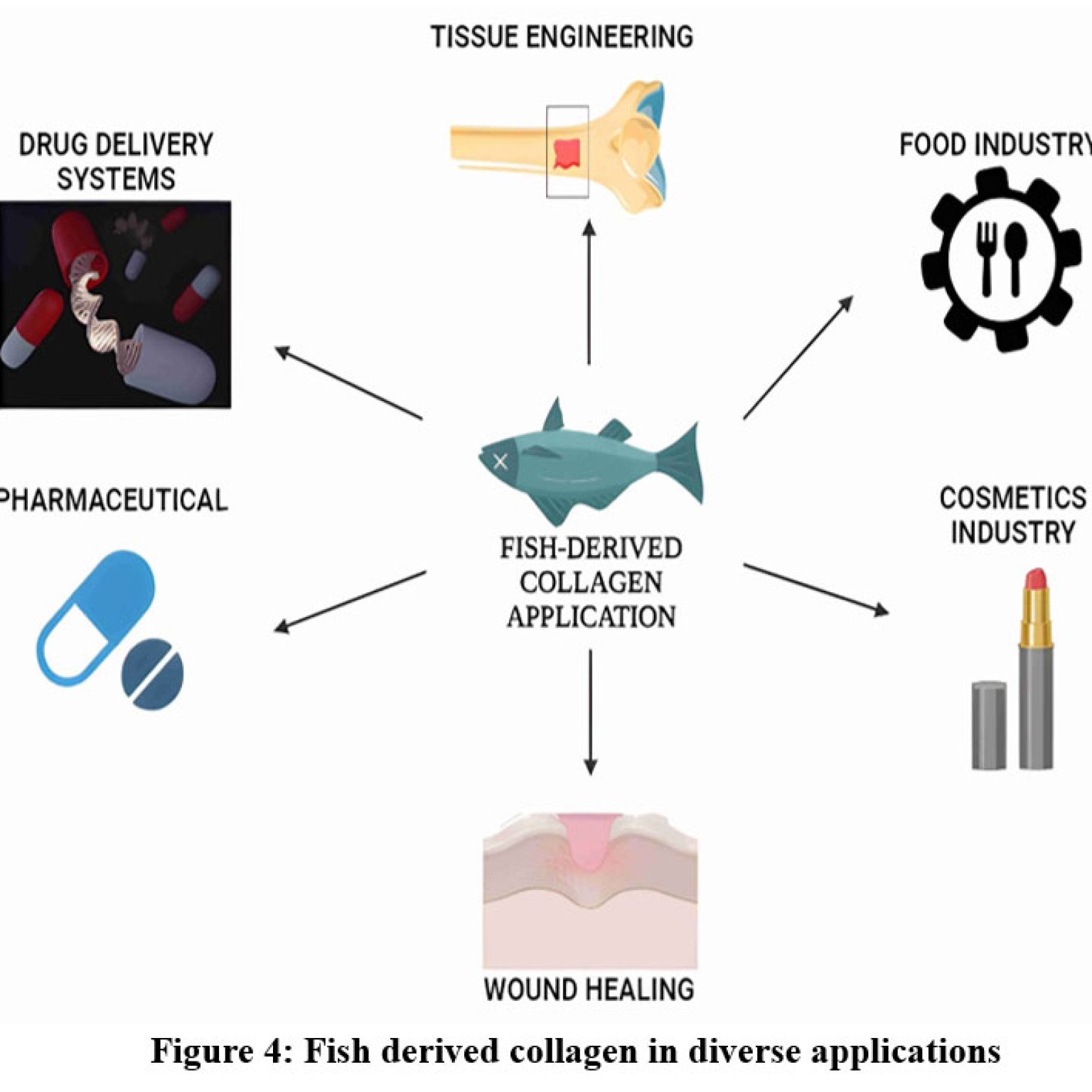 Scaling New Depths: Innovations in Fish Collagen Extraction and ...