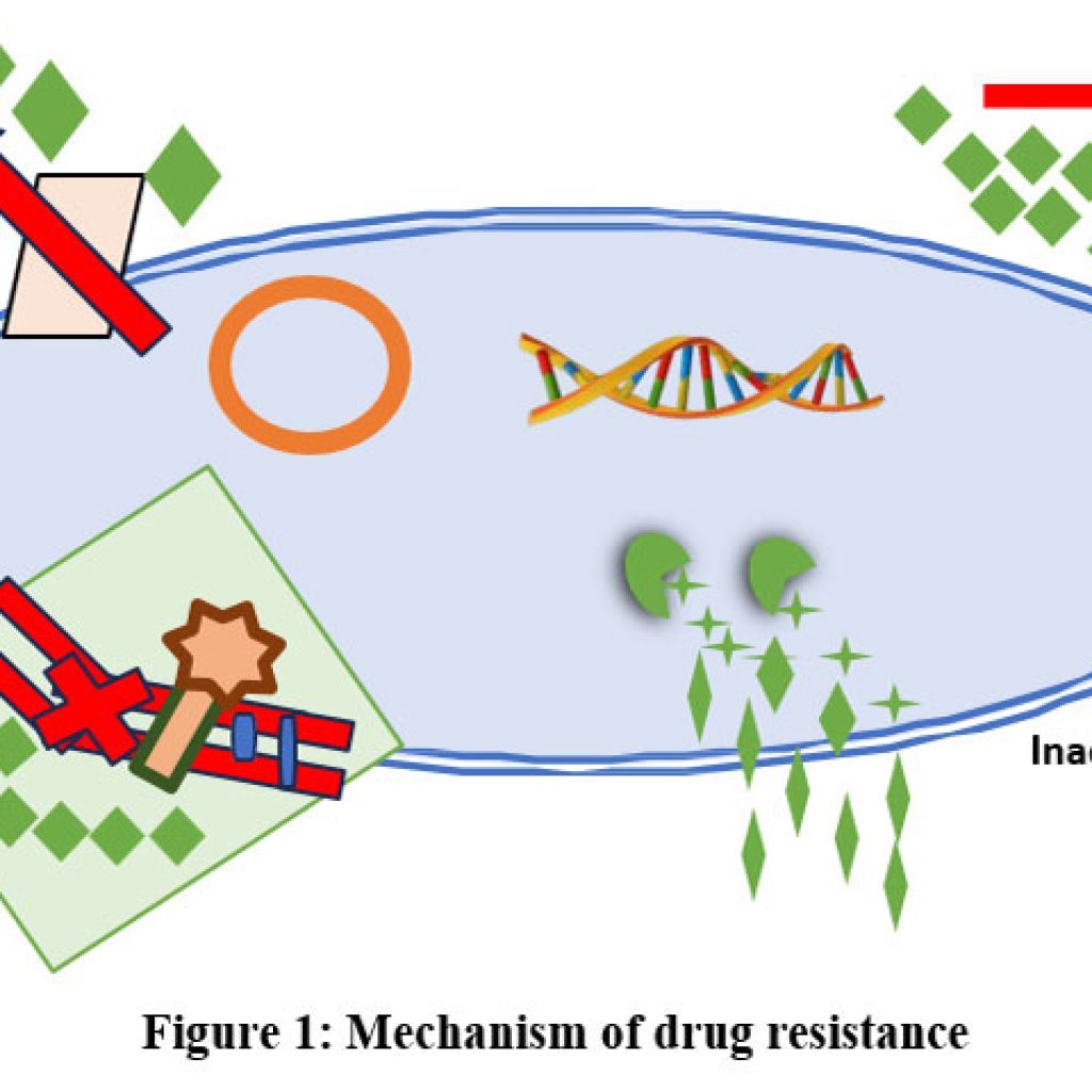Strategies to Combat Drug Resistance: Innovations and Challenges: A ...
