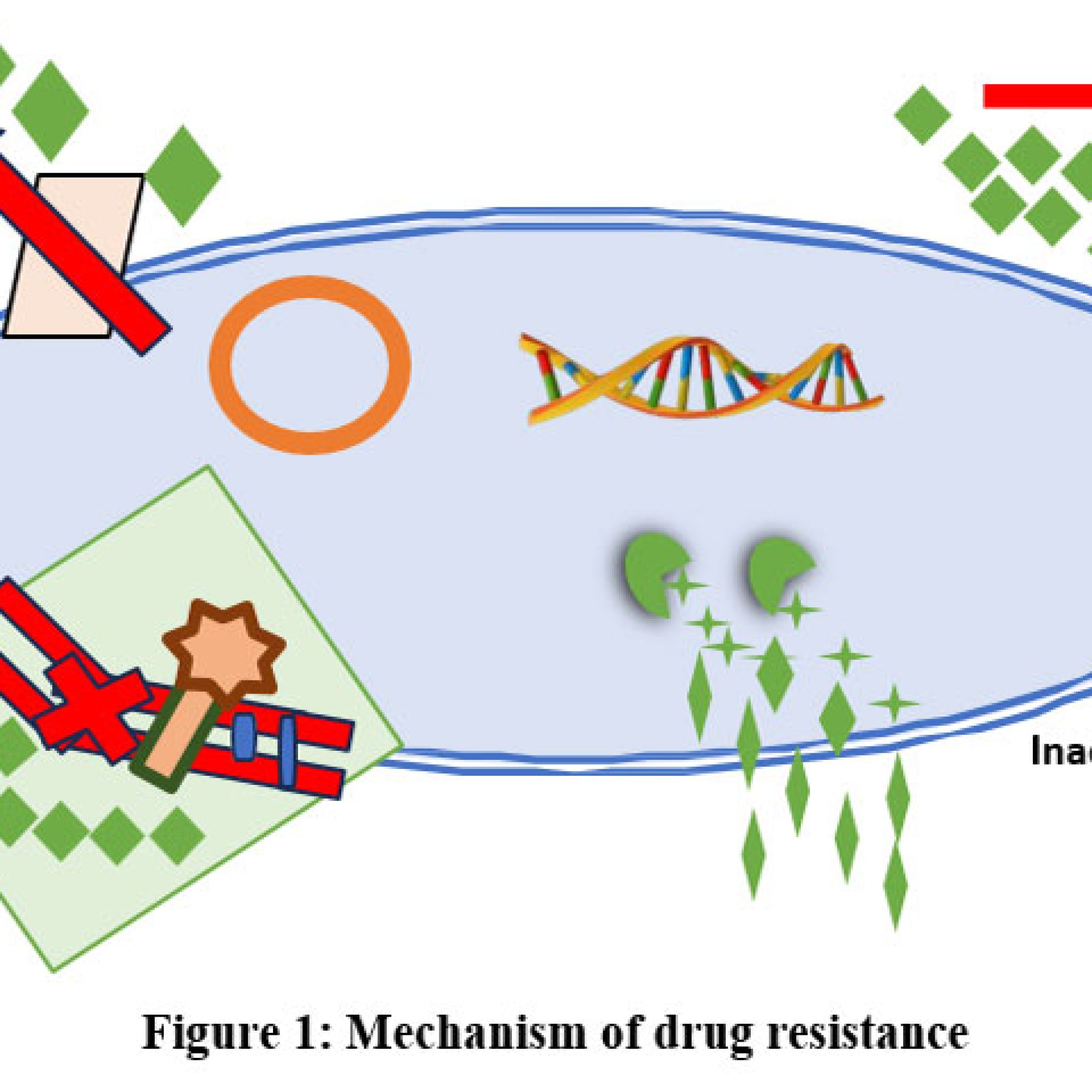 Strategies to Combat Drug Resistance: Innovations and Challenges: A ...