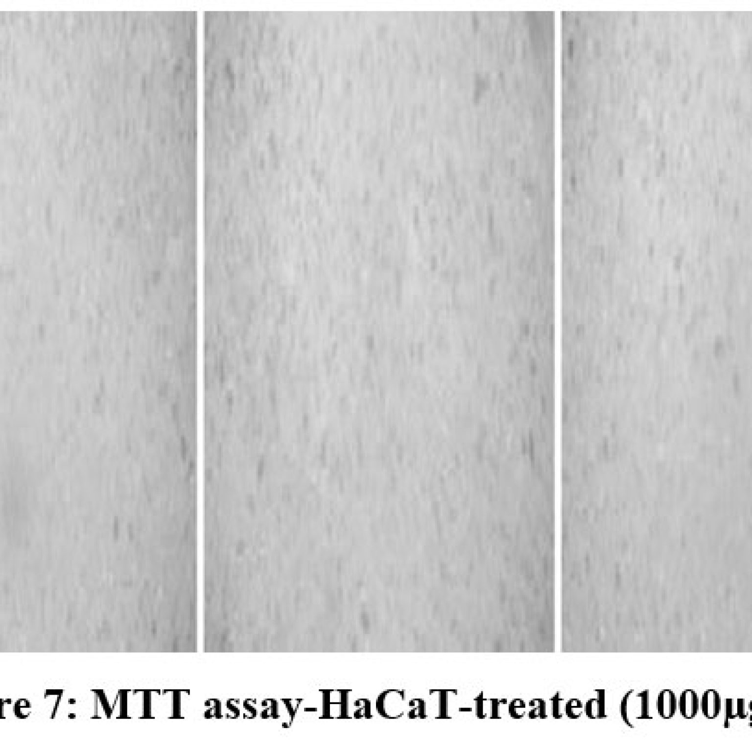 Antioxidant and Anticancer Activity Assessment of N. Oleander on the ...