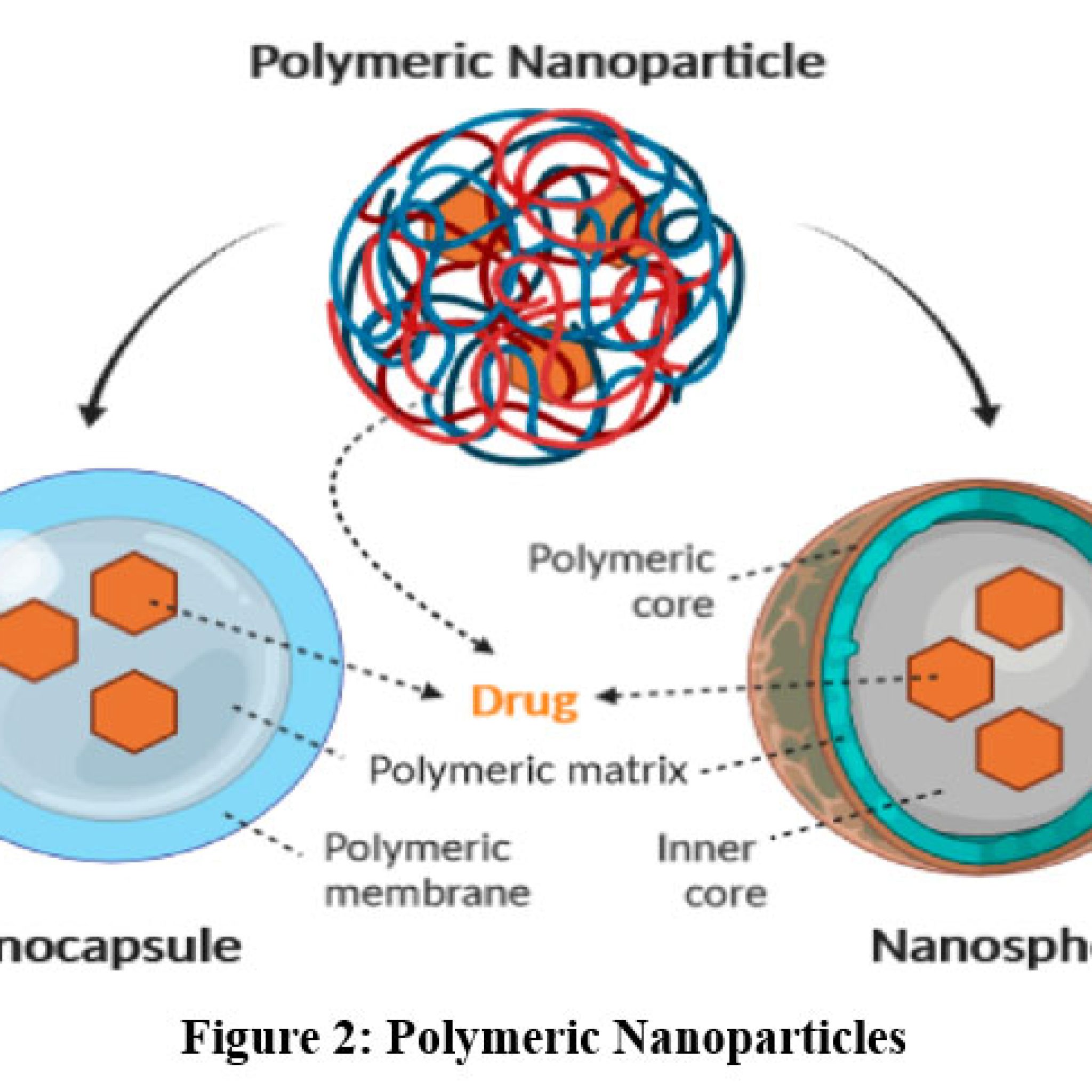 Exploring Nanoparticles: Types, Advantages, Challenges, and ...