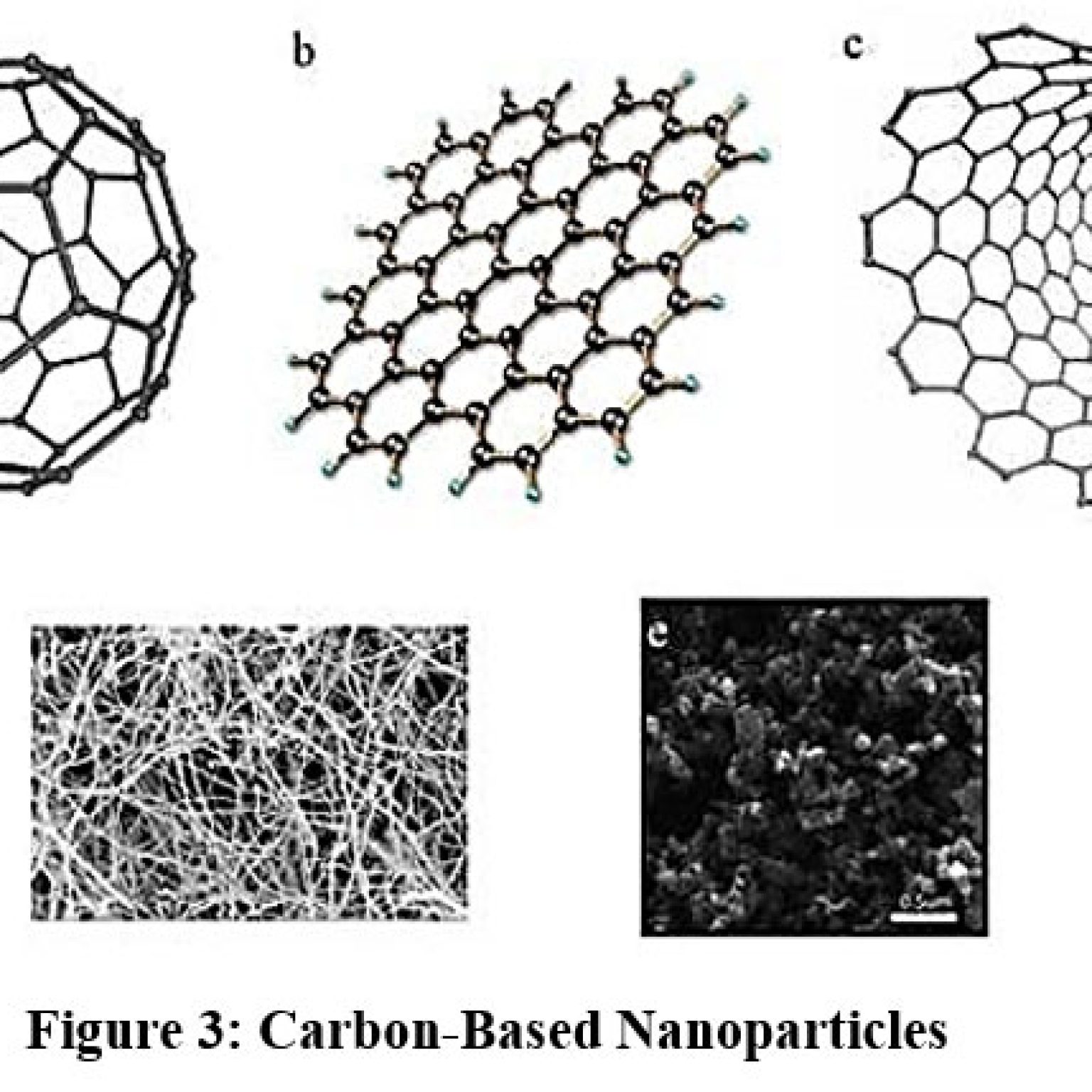 Exploring Nanoparticles: Types, Advantages, Challenges, and ...