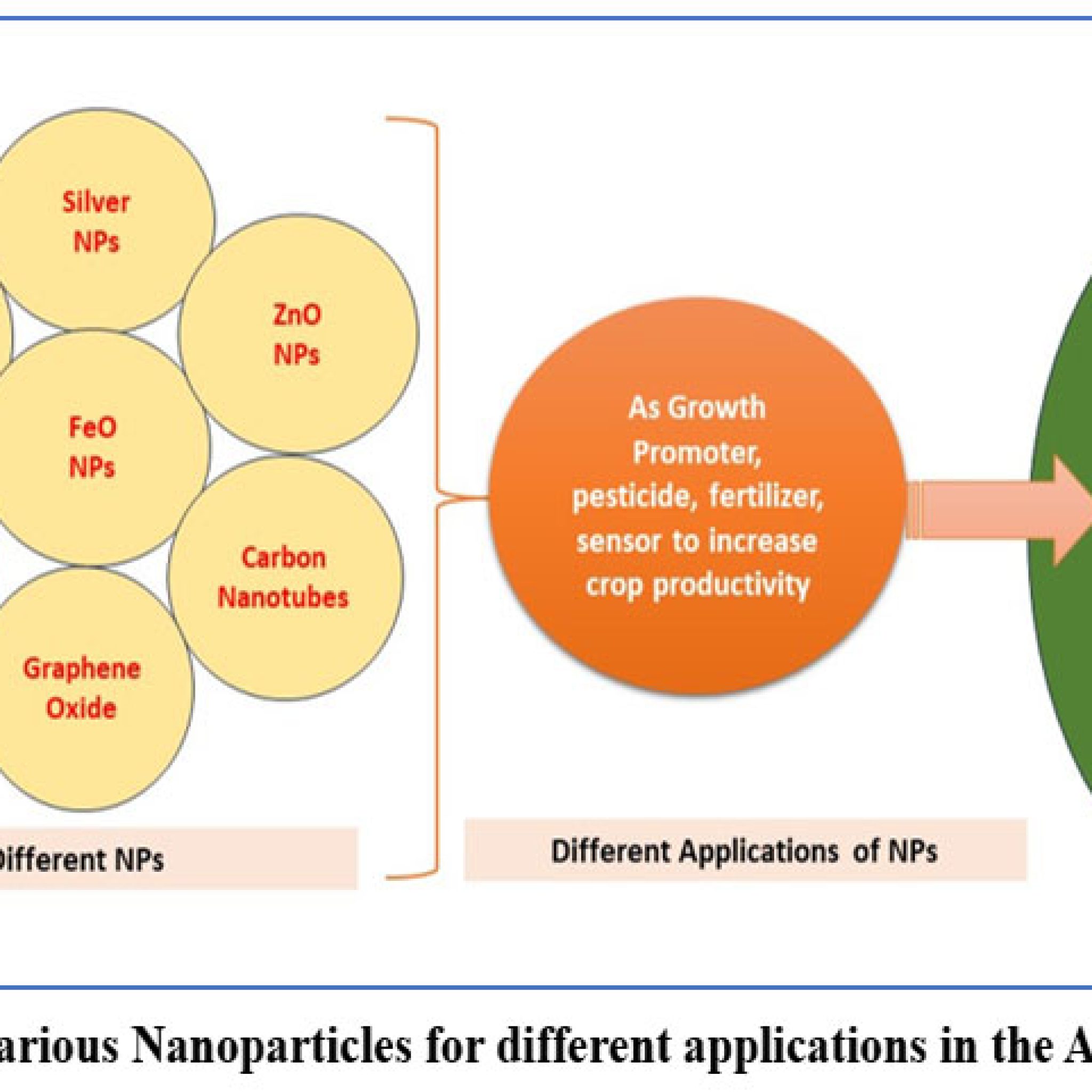 An Insight of Zinc Oxide Nanoparticles (ZnO NPs): Green Synthesis ...