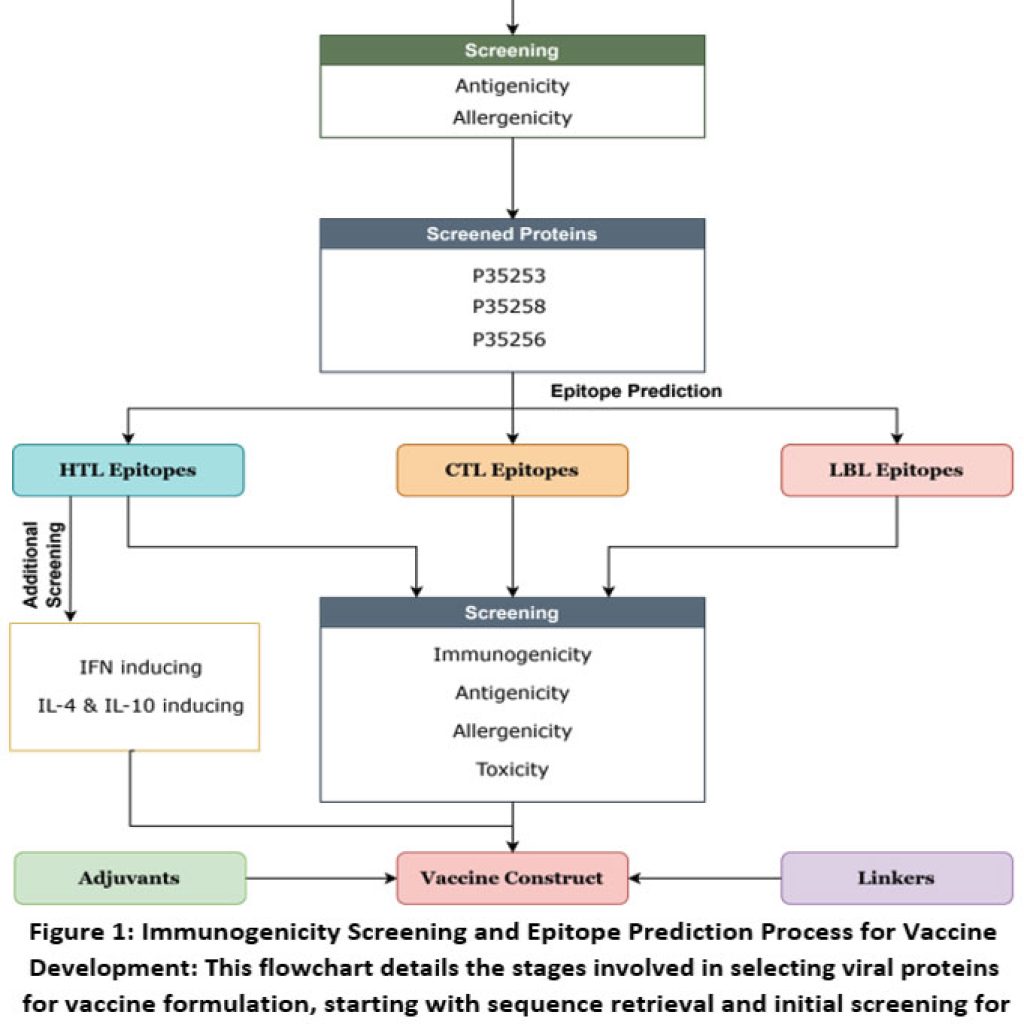 Machine Learning Optimization Approach to Design Multi-Epitope Marburg ...