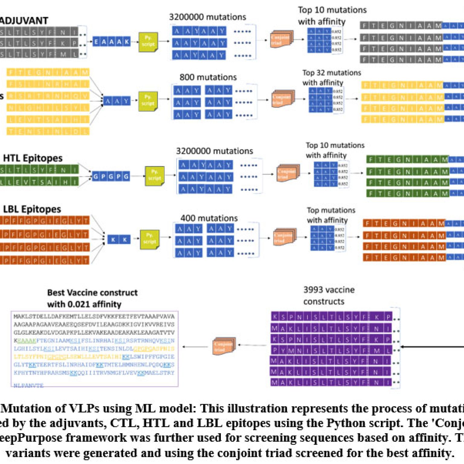 Machine Learning Optimization Approach to Design Multi-Epitope Marburg ...